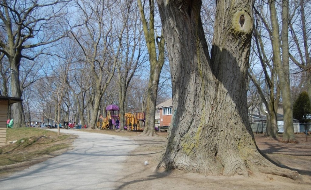 1. Adam Wilson Playground – History in the Everyday Landscape